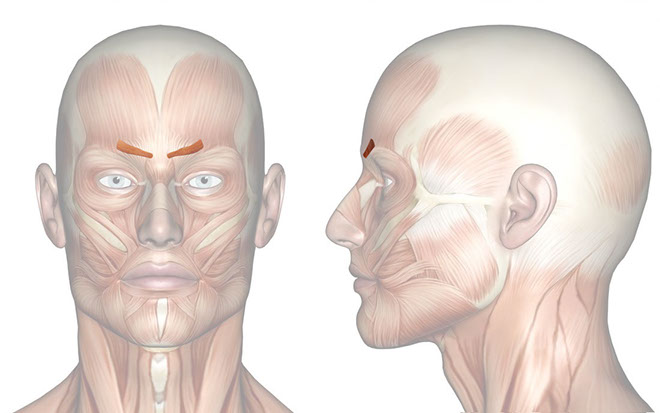 Conheça a si mesmo | Patakara.eu - Distribuidora oficial de Patakara